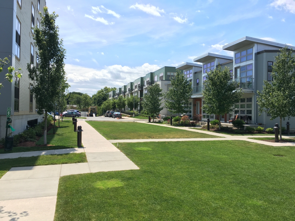 Maxwell7 - Dutton Architects